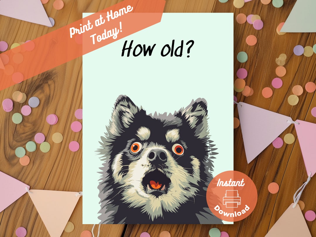 Printable Funny Pomsky Birthday Card, Instant Download, Print at Home ...