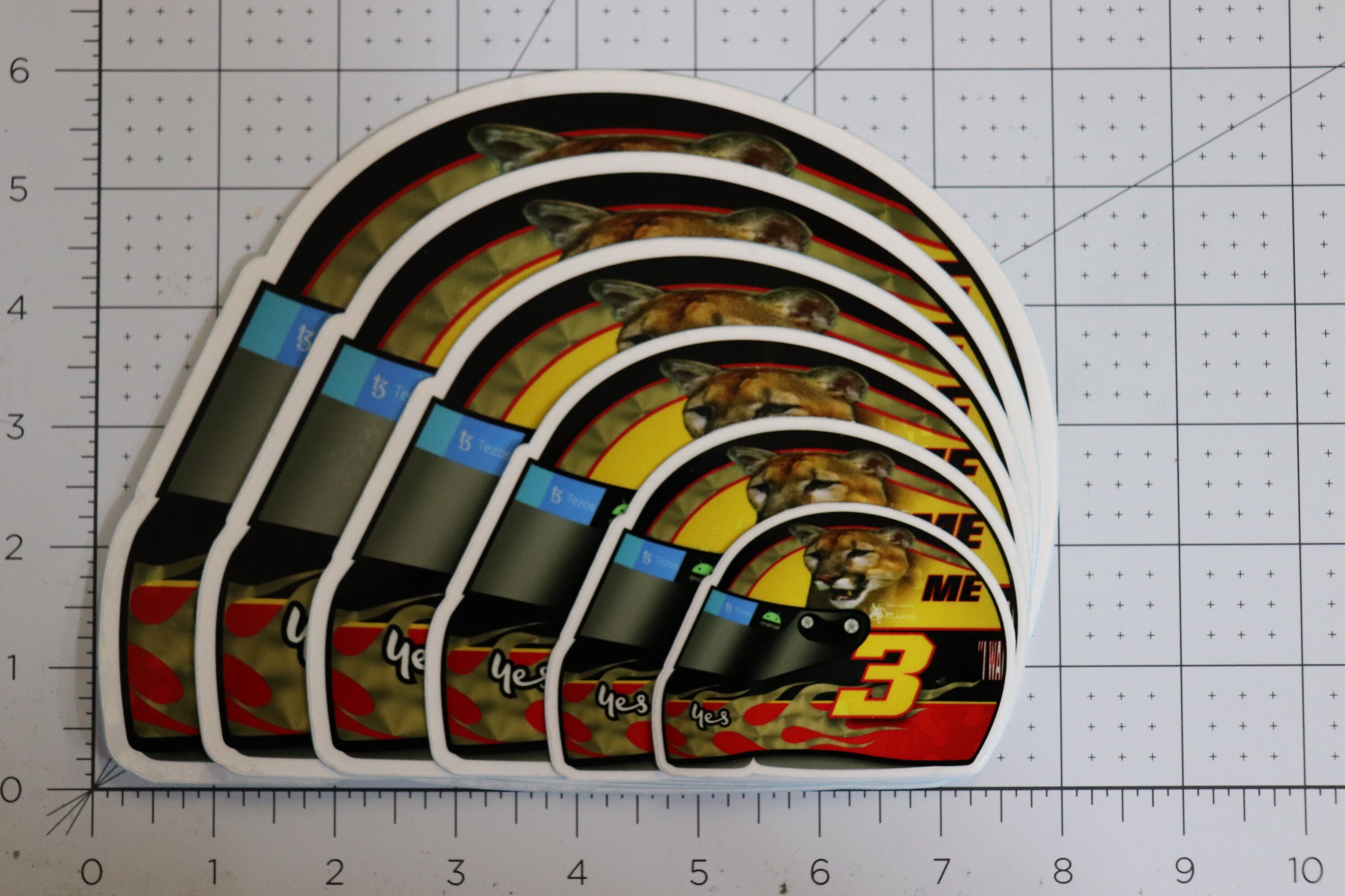 F1 Driver Fernando Alonso's 2024 Season Helmet Sticker - Etsy