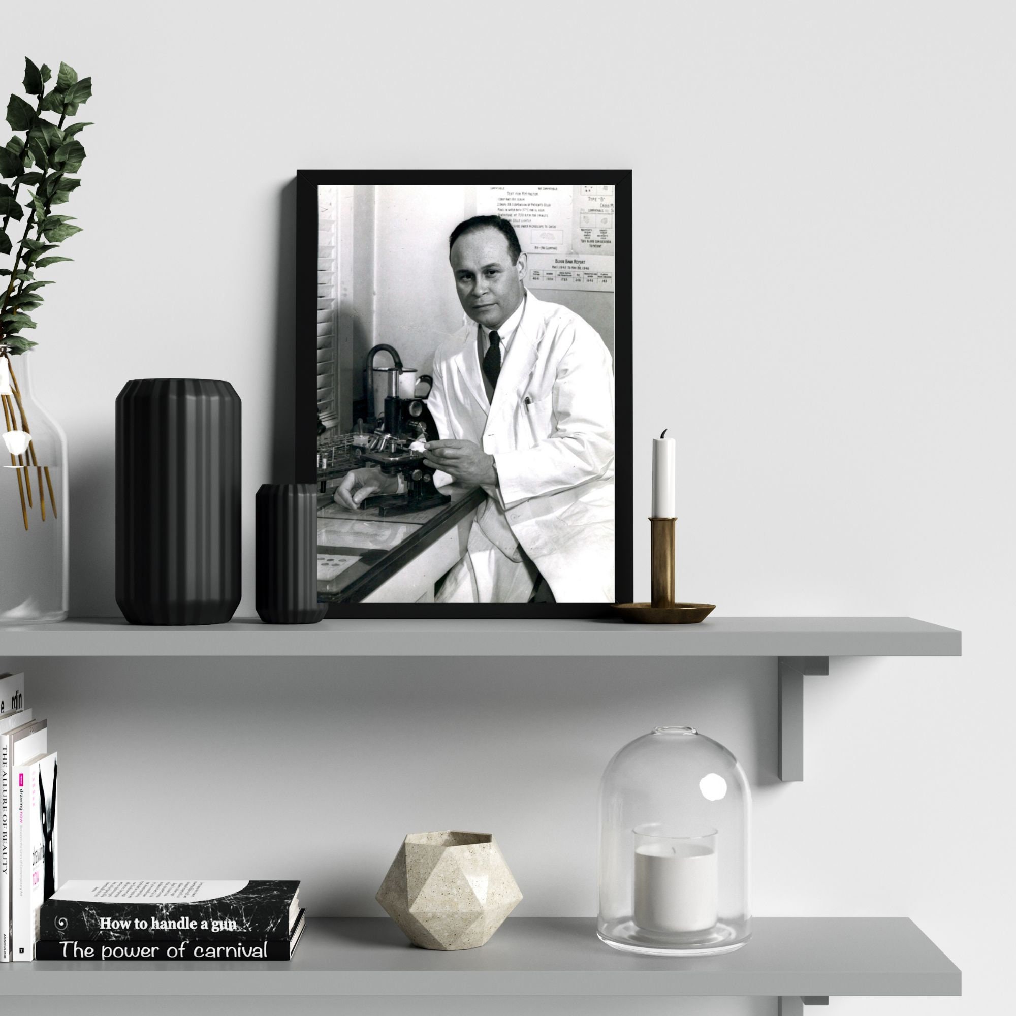Charles Richard Drew African American Black History Printable Wall Art ...