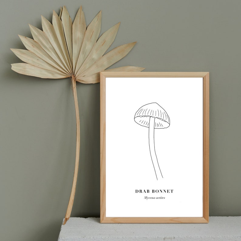 Drab Bonnet Mushroom Print | Mushroom Wall Decor | Minimalist Print ...
