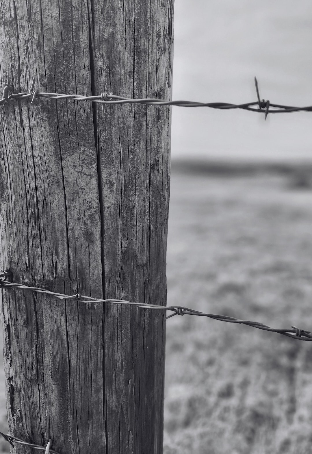Rustic Art, Fence Post Photography, Print, Picture, Wall, - Etsy