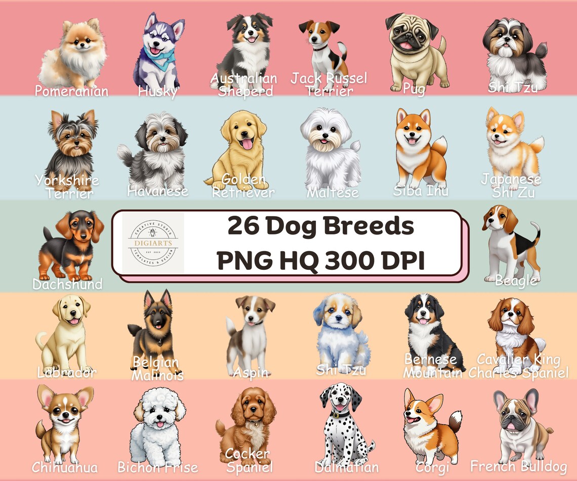 Cute Puppy Clipart Set PNG Dog Breeds Clipart Bundle PNG for Commercial ...