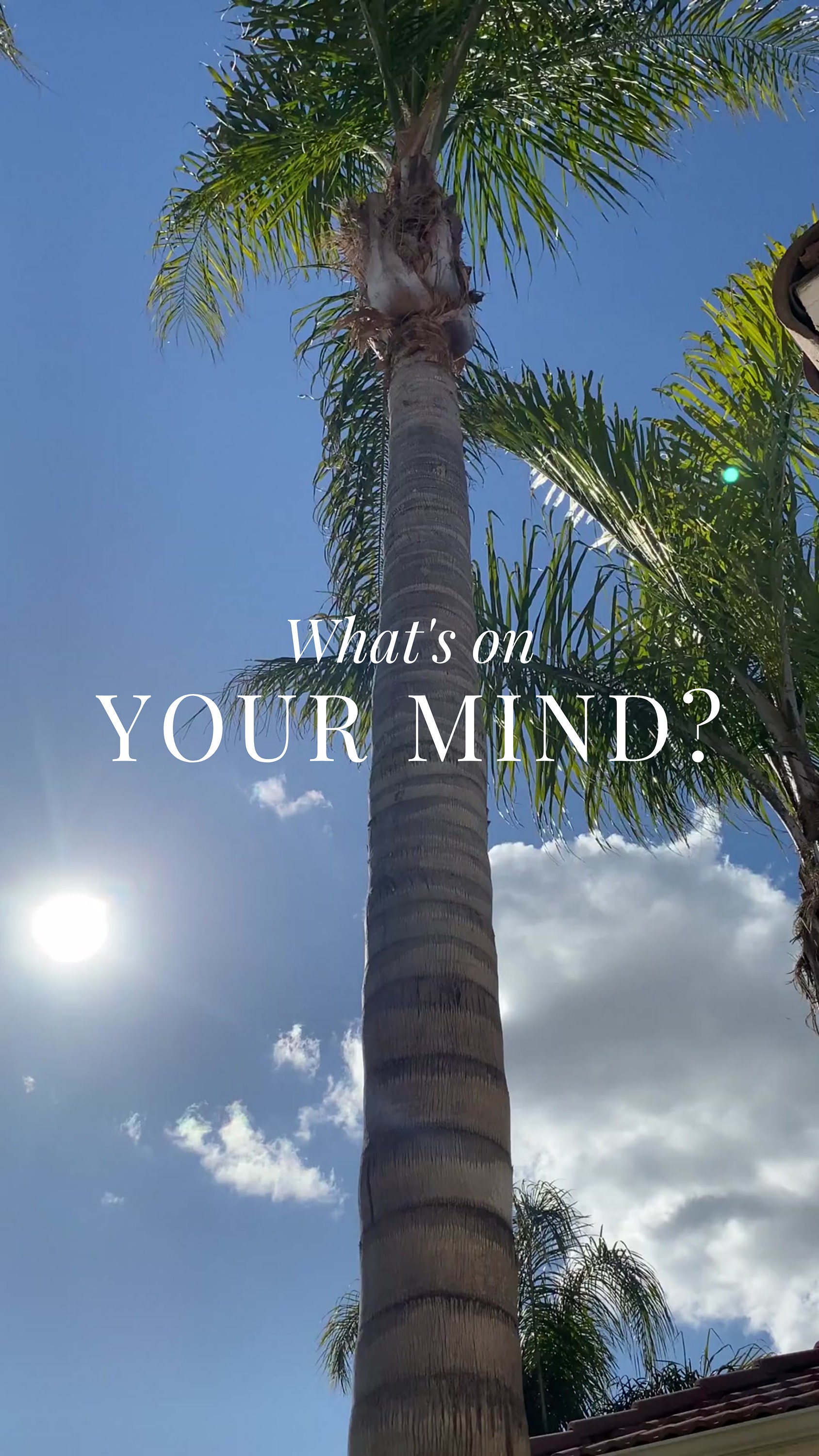 Instagram Reel Template - Canva Template - Question Reel Template ...