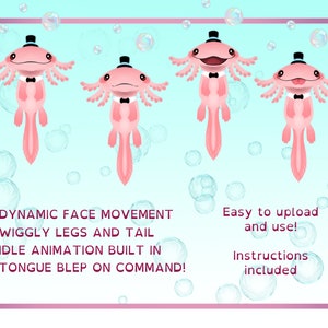 Fabio the Axolotl 2D Vtuber Model Fully Rigged - Etsy