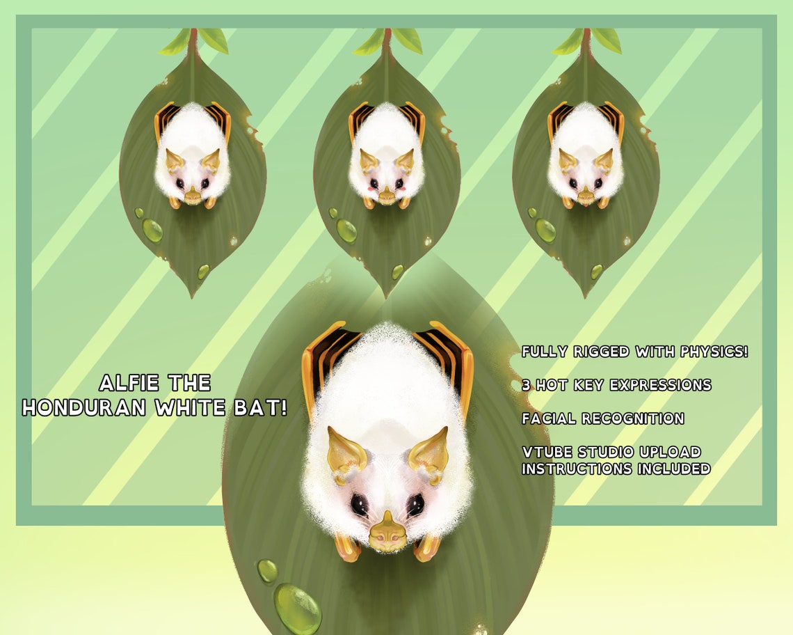 Alfie the Bat Vtuber 2d Model - Etsy