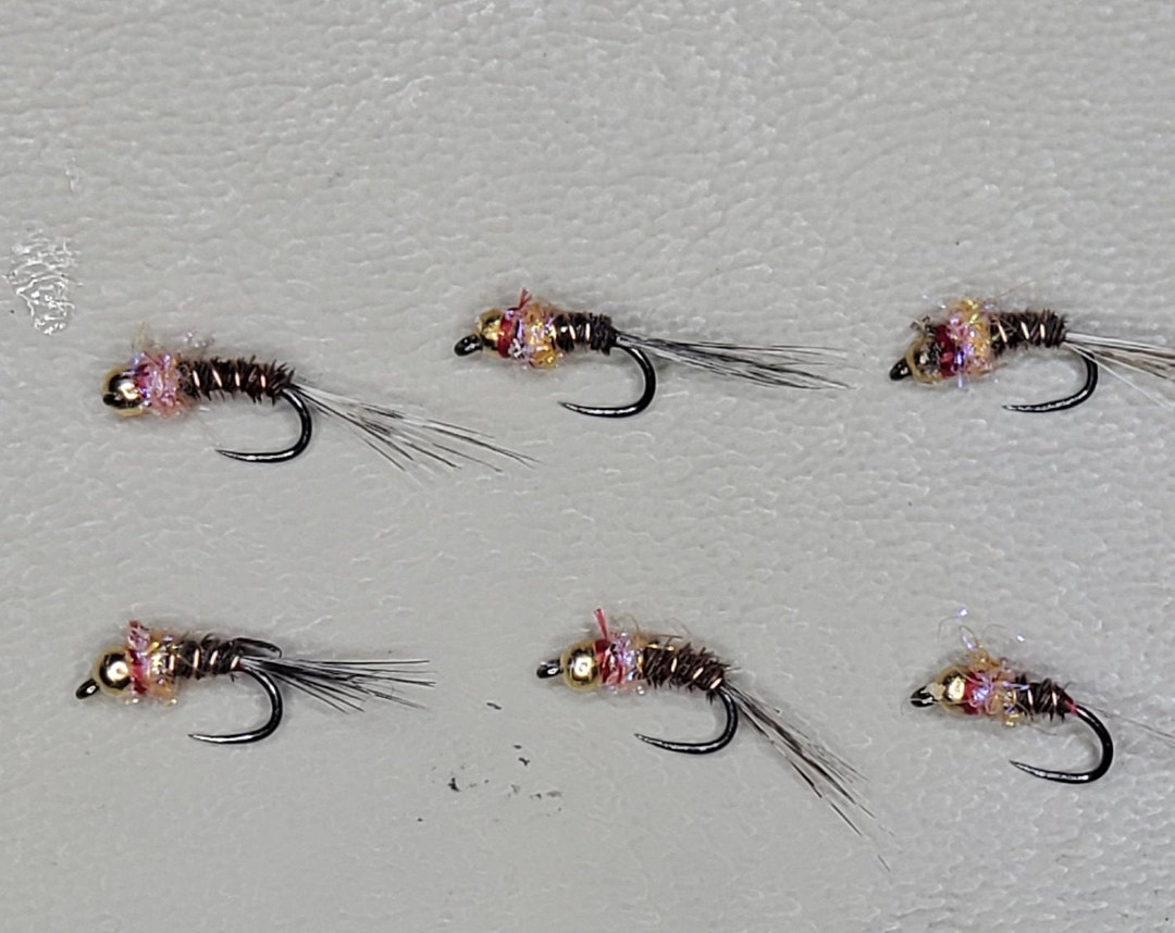 Egan's Frenchie (6) - Etsy