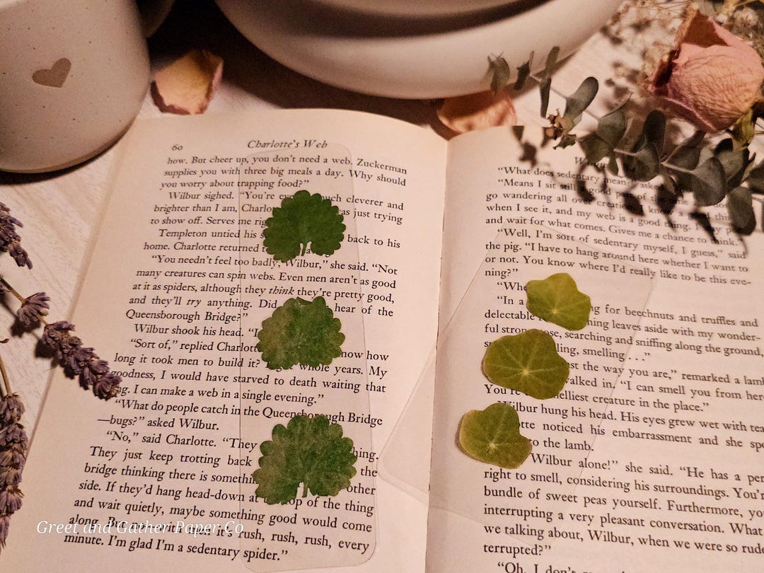 Laminated Pressed Greenery Bookmark: Real Botanical Foliage, Unique ...