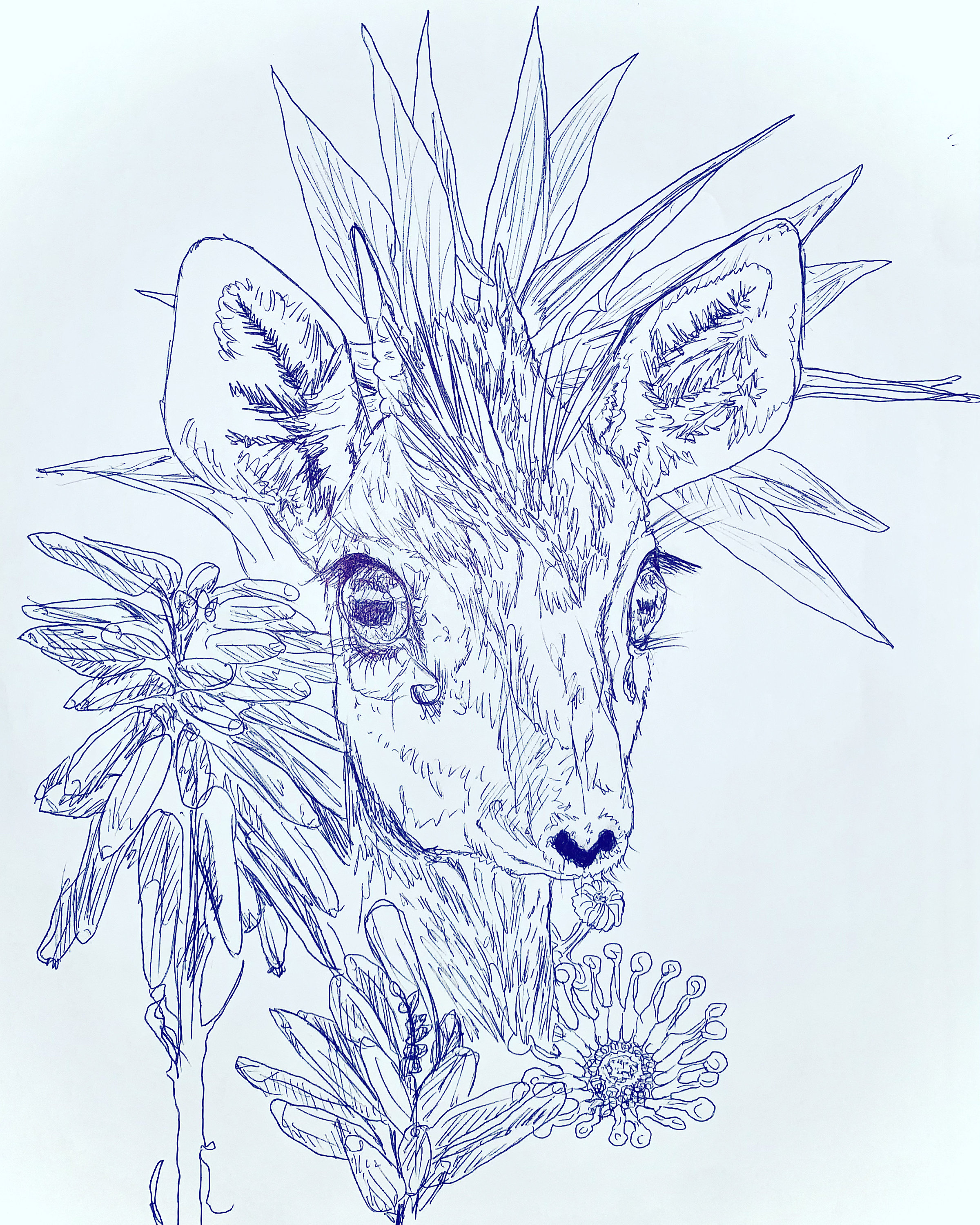 Dik-dik Deer in Native African Flowers Digital Download for Tattoo ...