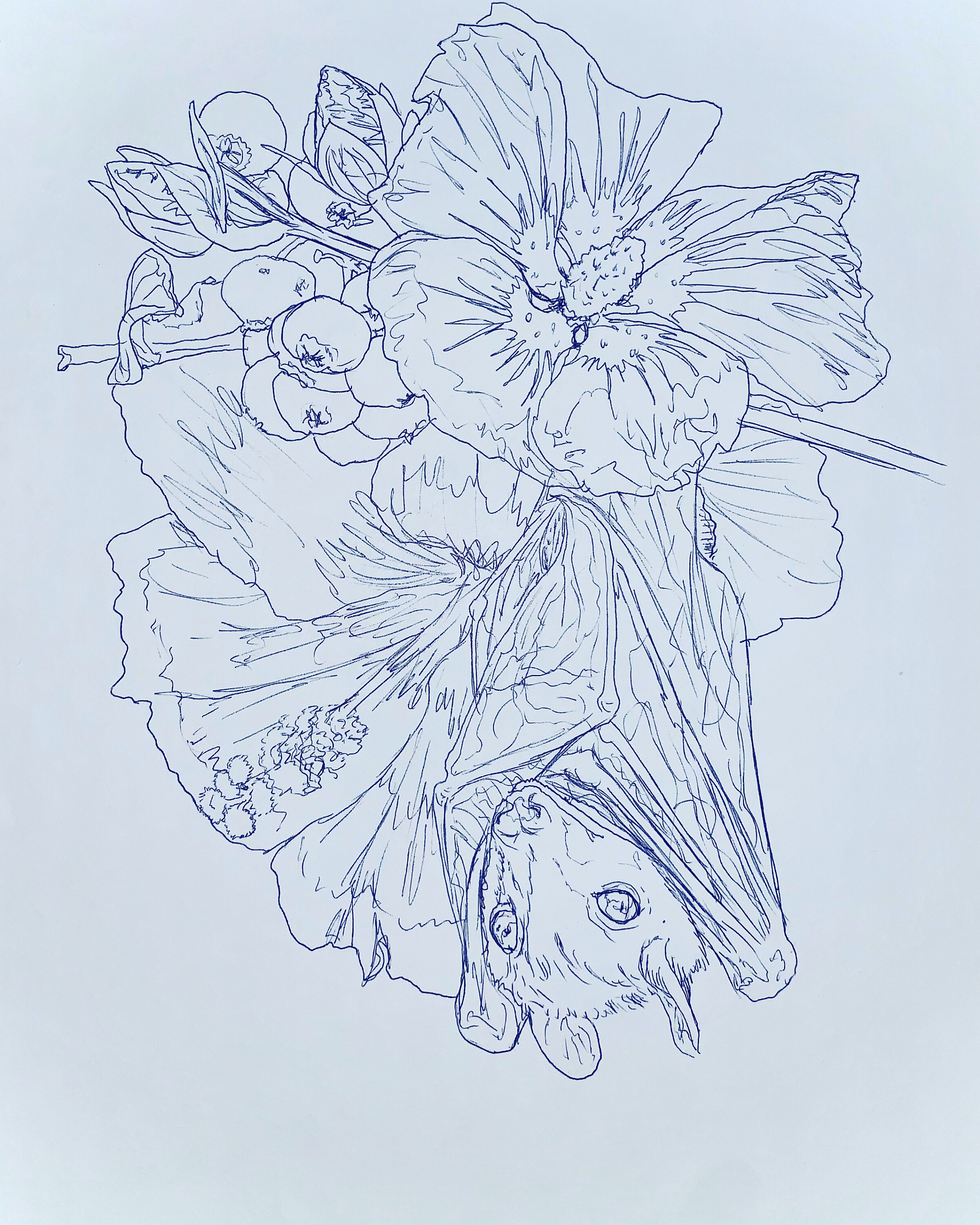 Printable Bat Illustration, Bat Tattoo PNG, Bat and Flowers Drawing ...