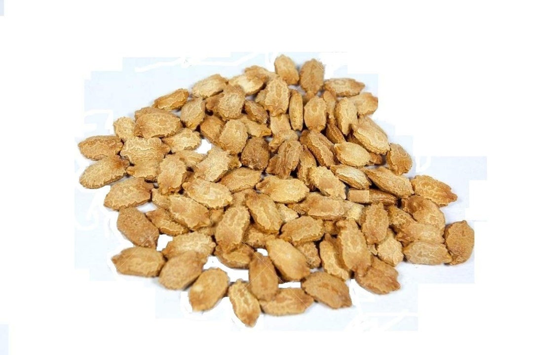 Karela Seeds, Bitter Seed, Bitter Gourd, Vegetable Seed, Indian Bitter ...
