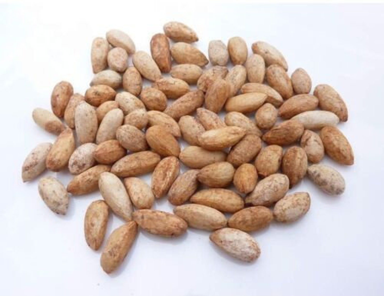 Neem Seeds, Neem Niboli Sabut, Neem Ke Beej, Azadirachta, Indian Neem ...