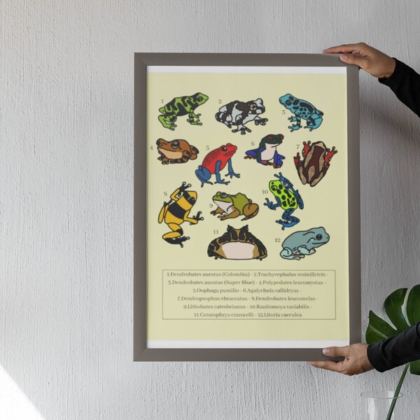 Frog Species Poster - Etsy