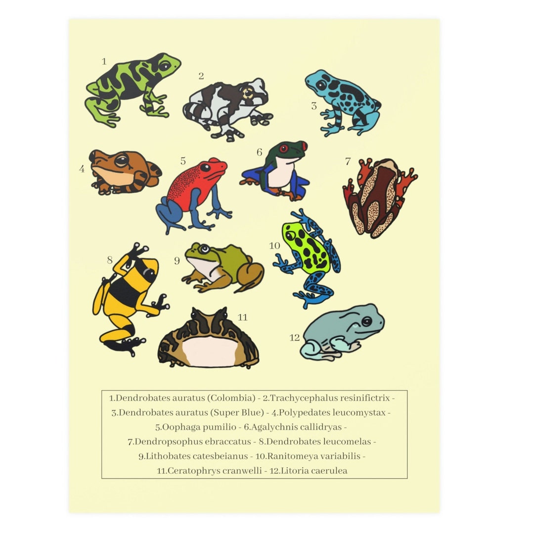 Frog Species Identification Satin Poster Frameless Poster - Etsy
