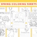 Spring Printable, Spring Activity Pack, Spring Coloring, Parts of a ...