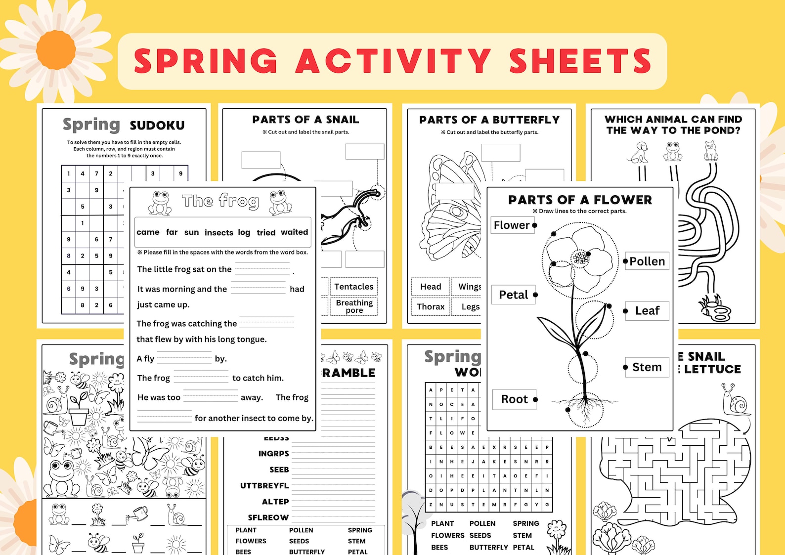 Spring Printable, Spring Activity Pack, Spring Coloring, Parts of a ...