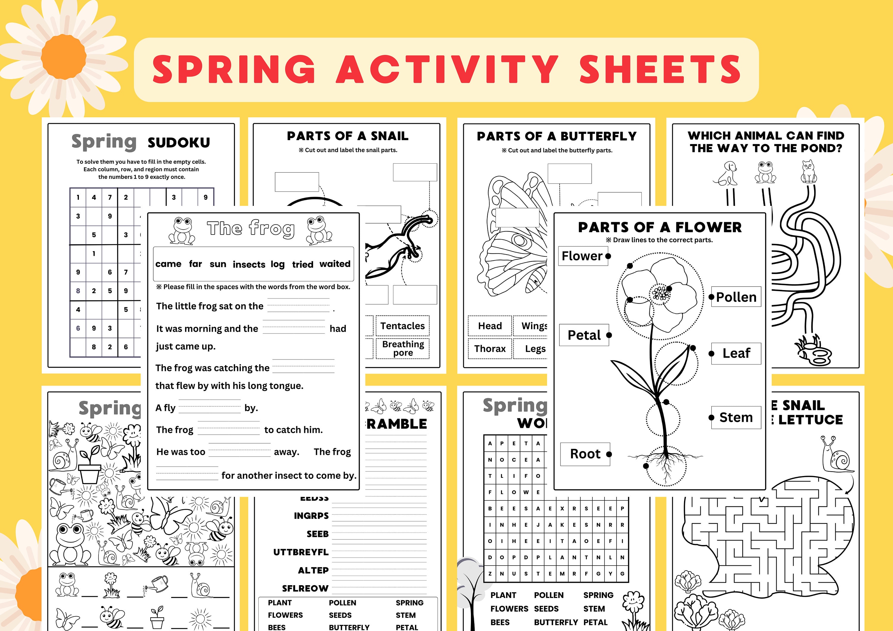 Spring Printable, Spring Activity Pack, Spring Coloring, Parts of a ...