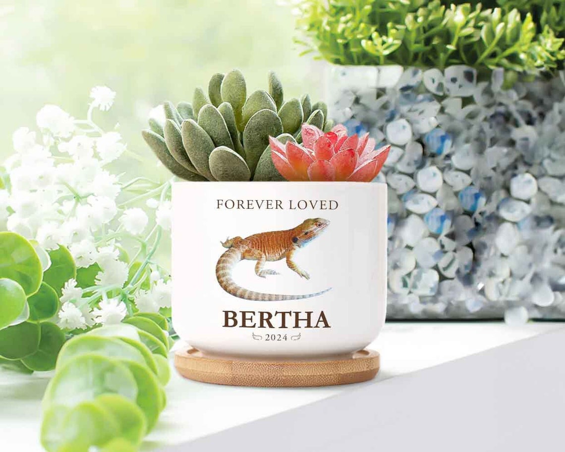 Personalized Lizard Memorial Plant Pot, Custom Pet Photo Plant Pot ...