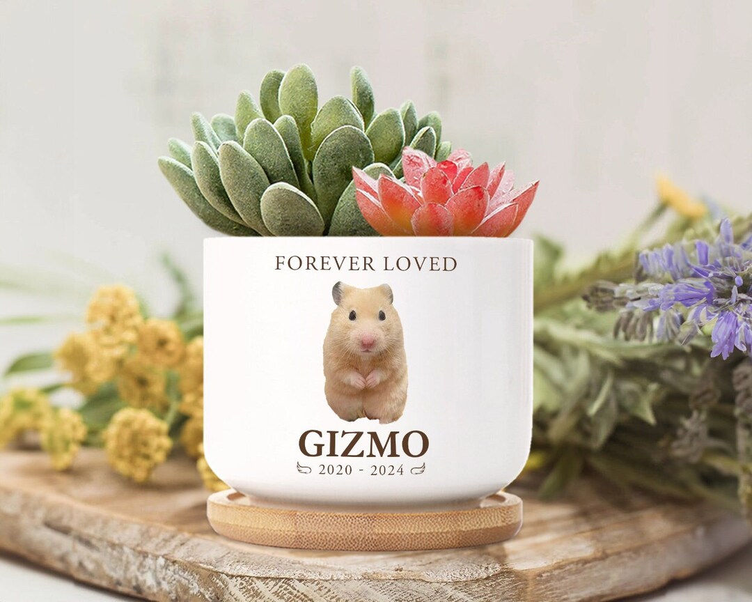 Personalized Hamster Memorial Planter, Custom Pet Photo Plant Pot, Pet ...