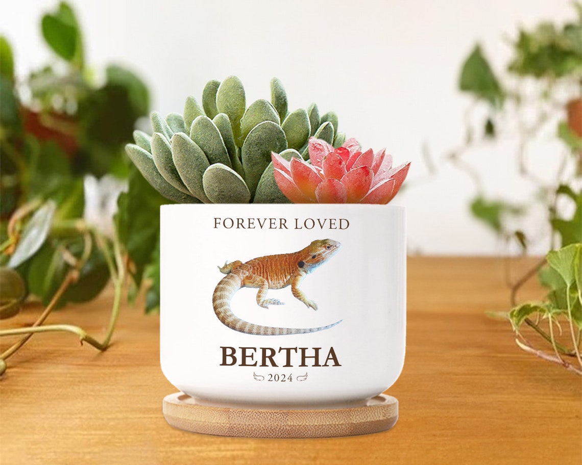Personalized Lizard Memorial Plant Pot, Custom Pet Photo Plant Pot ...