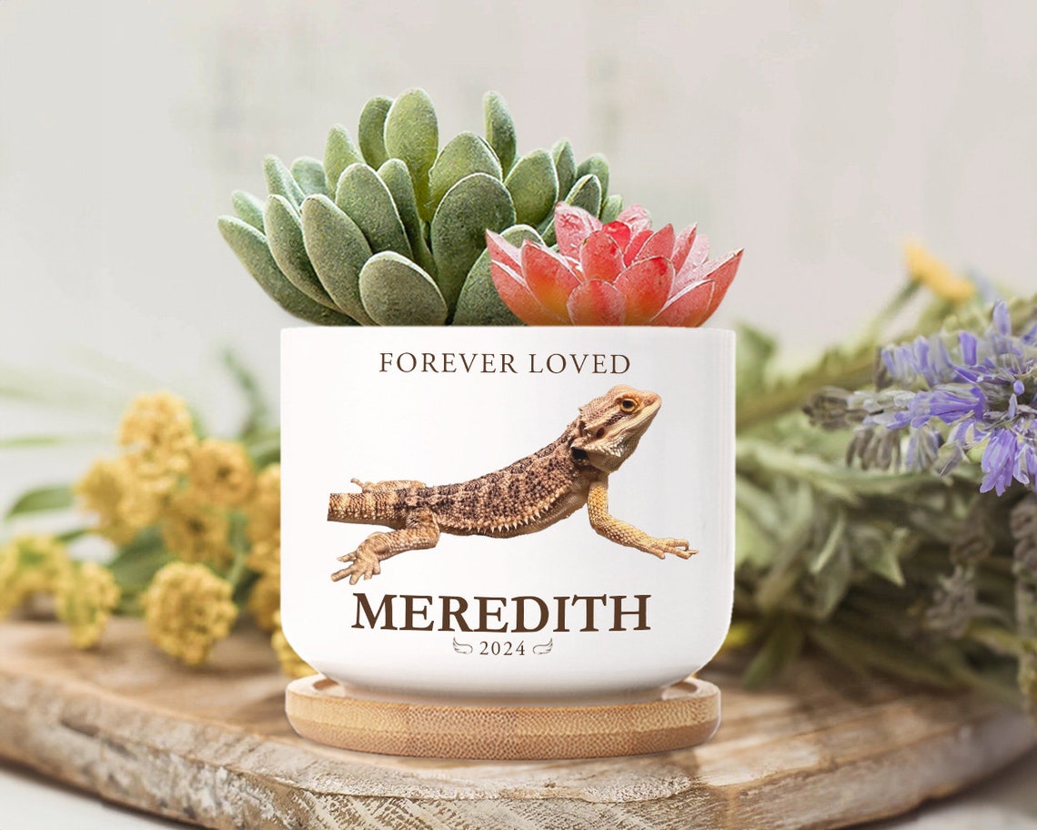 Personalized Lizard Memorial Plant Pot, Custom Pet Photo Plant Pot ...