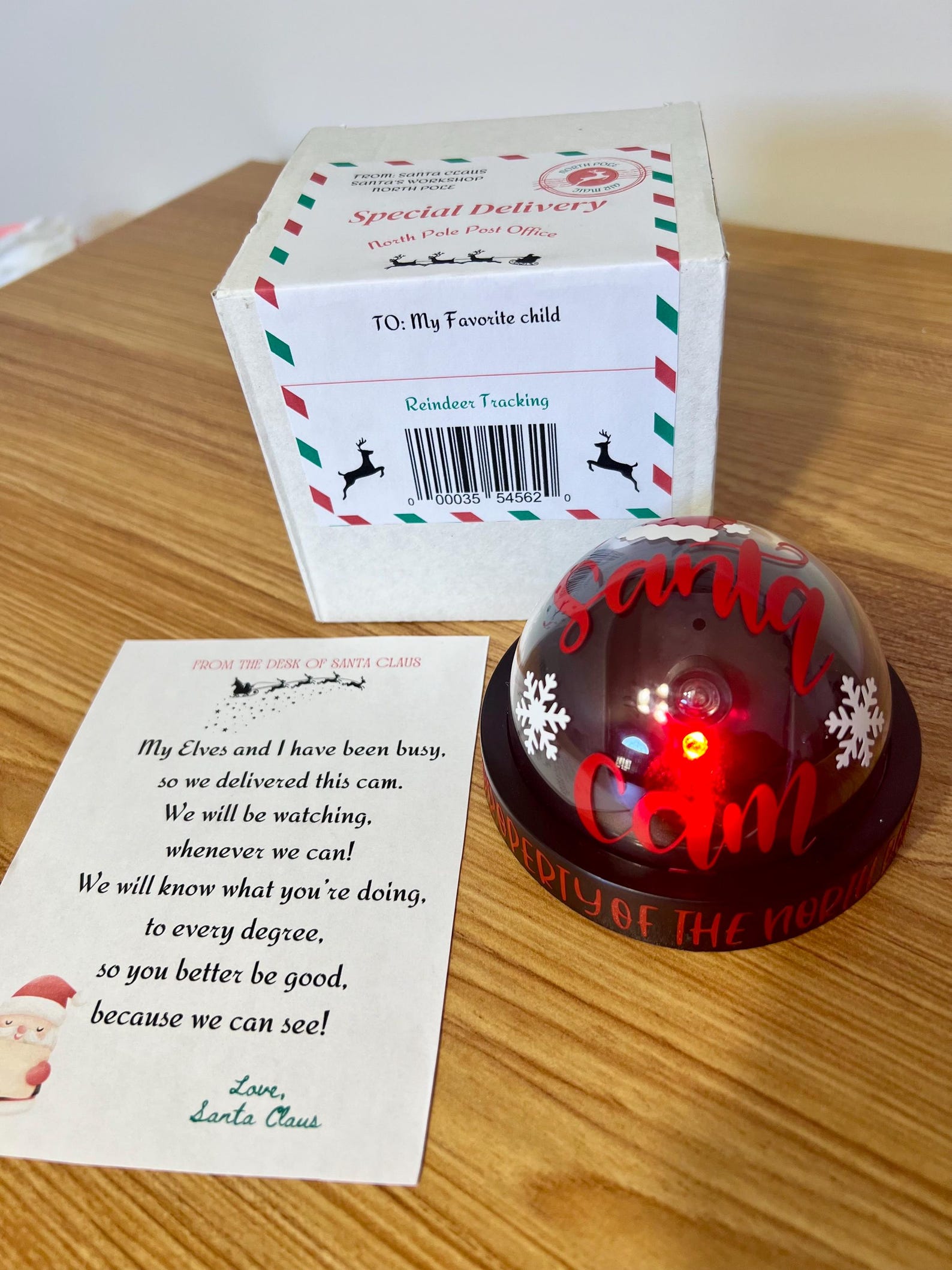 Santa Cam, Elf Cam, WITH PERSONALIZATION Surveillance Camera, Santa Spy ...