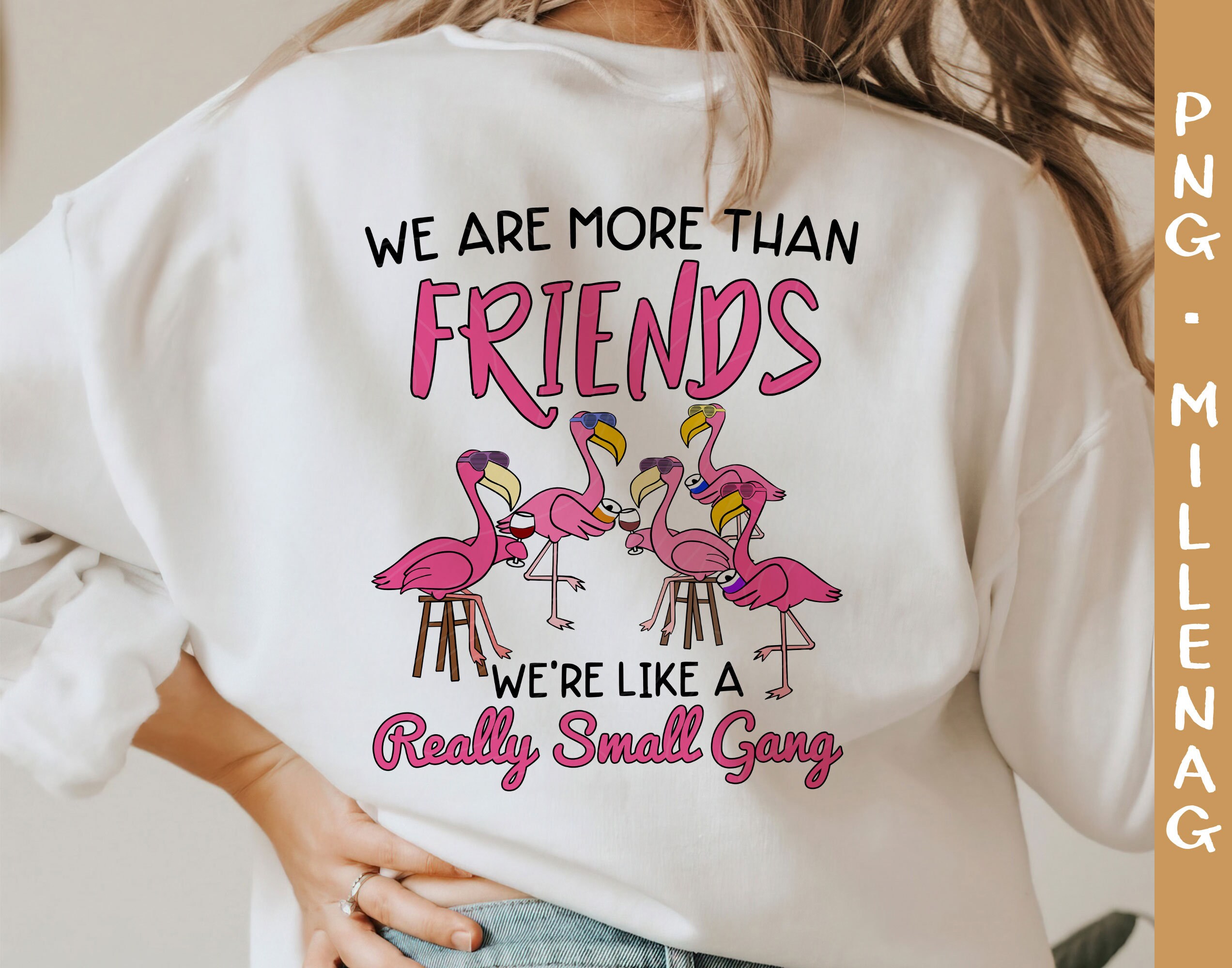 Flamingo PNG, We Are More Than Friends We're Like A Really Small Gang ...