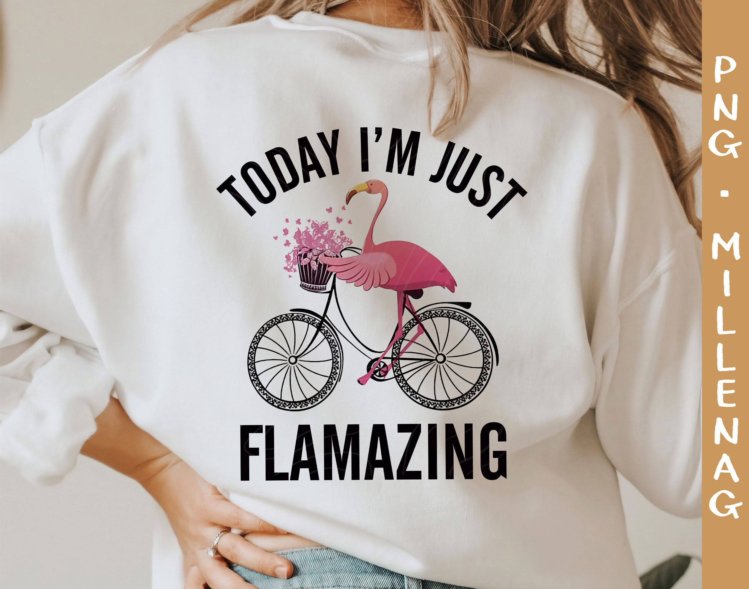 Flamingo PNG, Today I'm Just Flamazing PNG, Be Flamazing Png, Flamingo ...