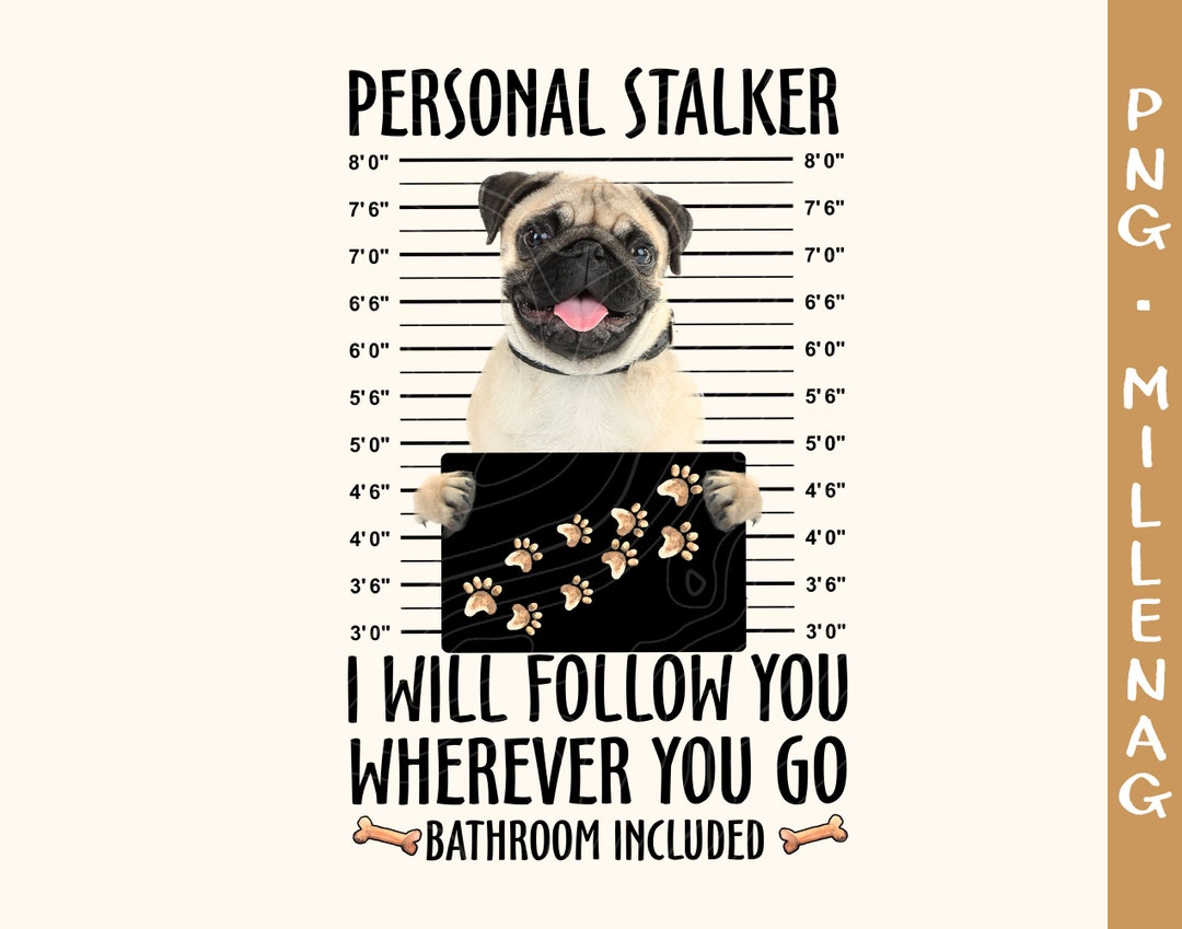 Perro PNG, Pug Mugshot PNG, Personal Stalker Pug PNG, Te seguiré ...