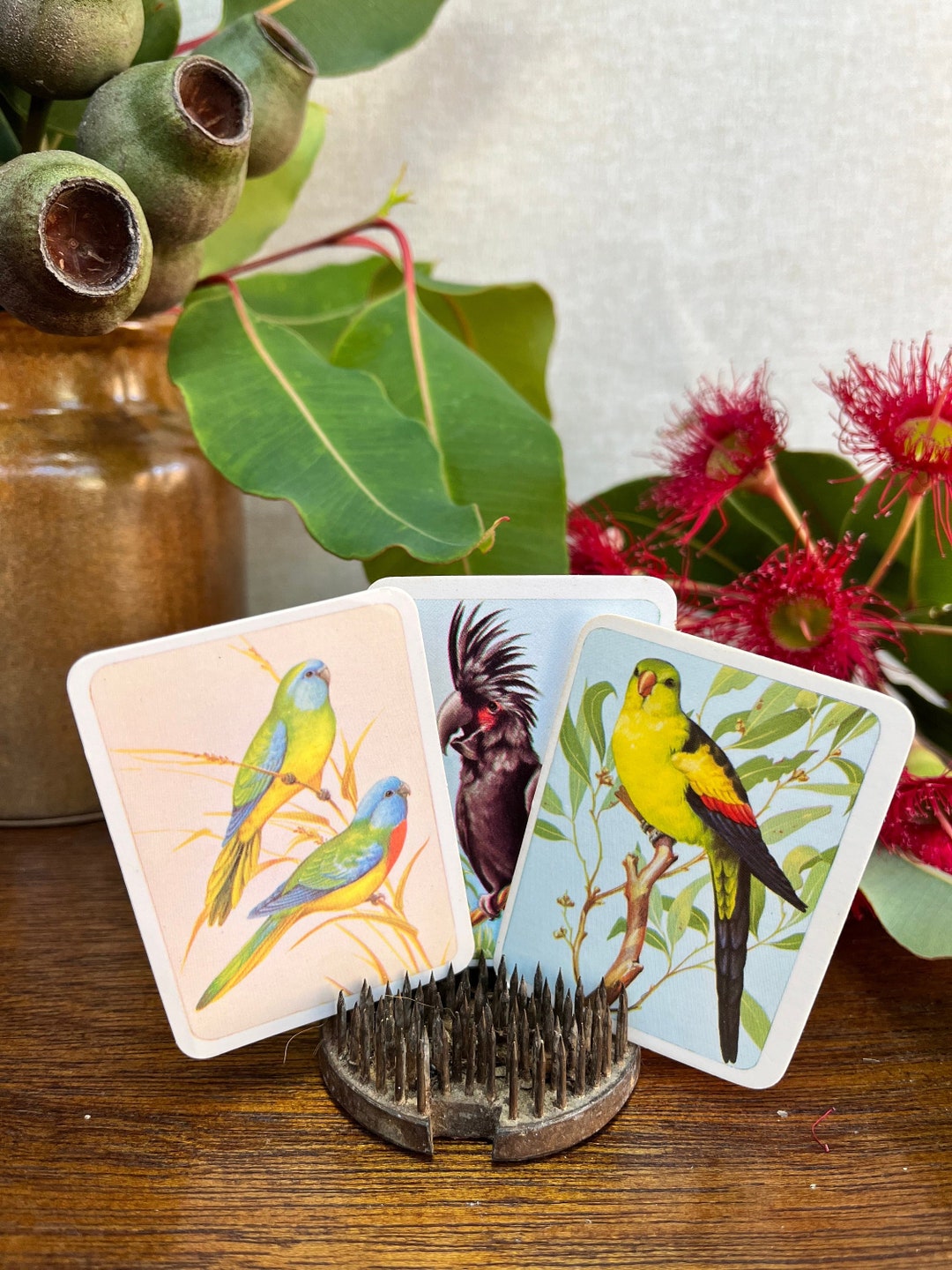 Tuckfield's Bird Cards. Tetley Tea Trading Cards. Ty-nee Tips Trading ...