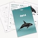 Orca Paper Craft | Orca Paper Model | Killer Whale Paper Craft | PDF ...