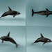 Orca Paper Craft | Orca Paper Model | Killer Whale Paper Craft | PDF ...