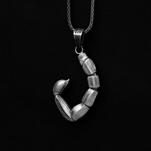 Unique Metasoma Scorpion Tail Silver Necklace, Insect Necklace, Animal ...