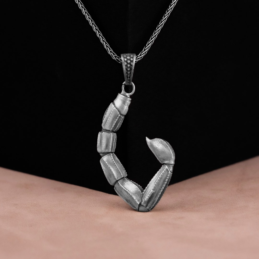 Unique Metasoma Scorpion Tail Silver Necklace, Insect Necklace, Animal ...