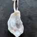 Oyster and Freshwater Pearl Decoration. - Etsy