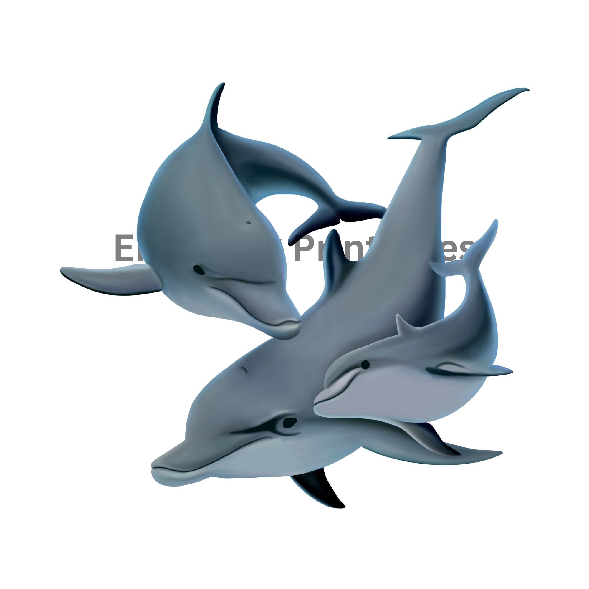 Dolphin Svg, Dolphin Svg Files, Dolphin Png, Dolphins Svg, Dolphins Png ...
