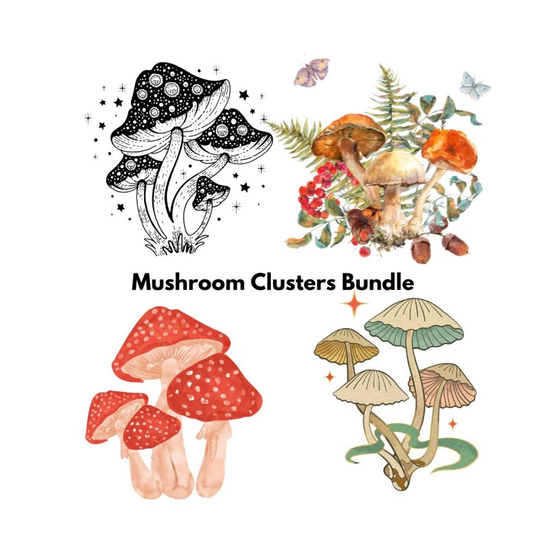 Mushroom SVG, Mushroom PNG, Mushroom Bundle, Red Cap Mushroom, Svg/png ...