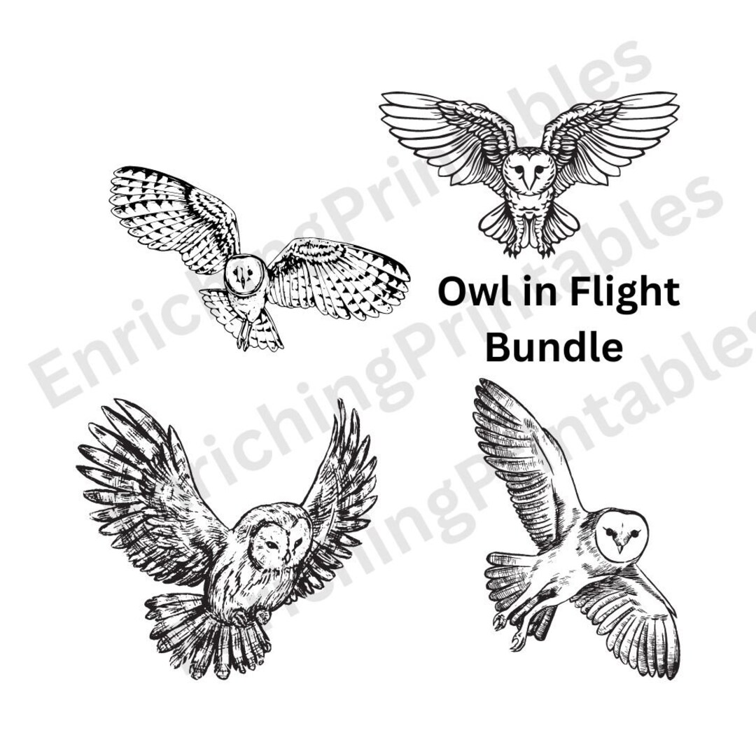 Owl Svg Bundle, Owl Svg for Cricut, Owl Svg, Includes 4 SVG Files and 4 ...