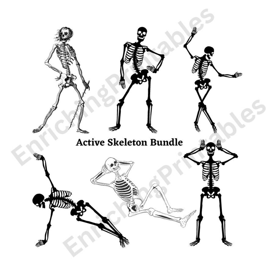 Skeleton Svg, Skeleton Bundle, Skeleton Png, Skeleton File, Skeleton ...