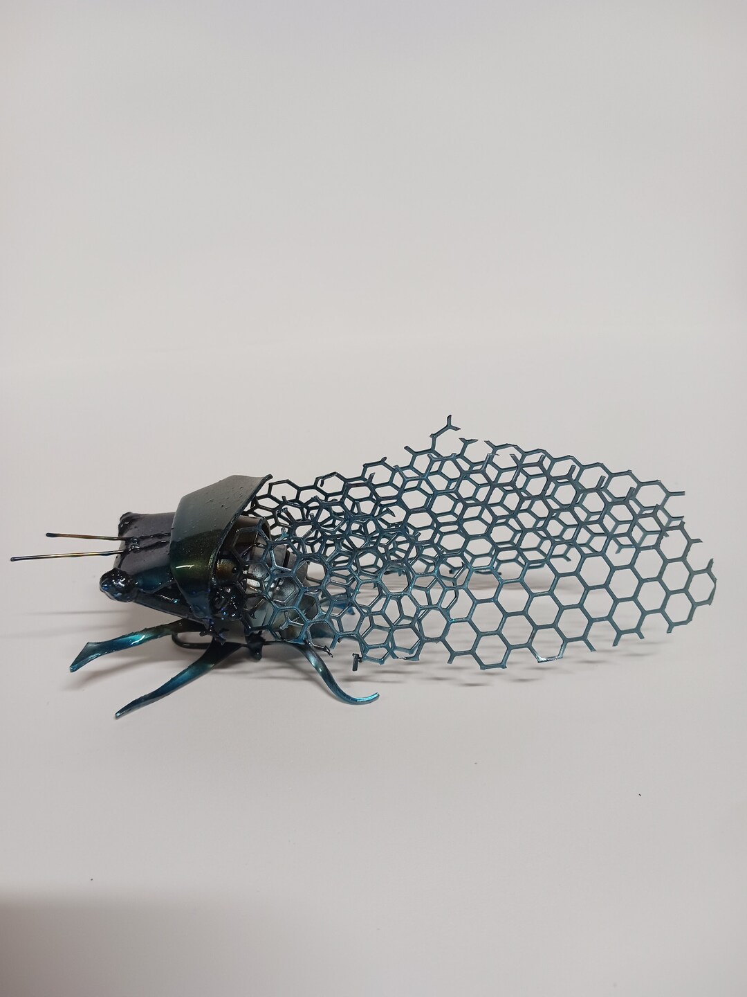 Small Fig Beetles and Cicadas - Etsy