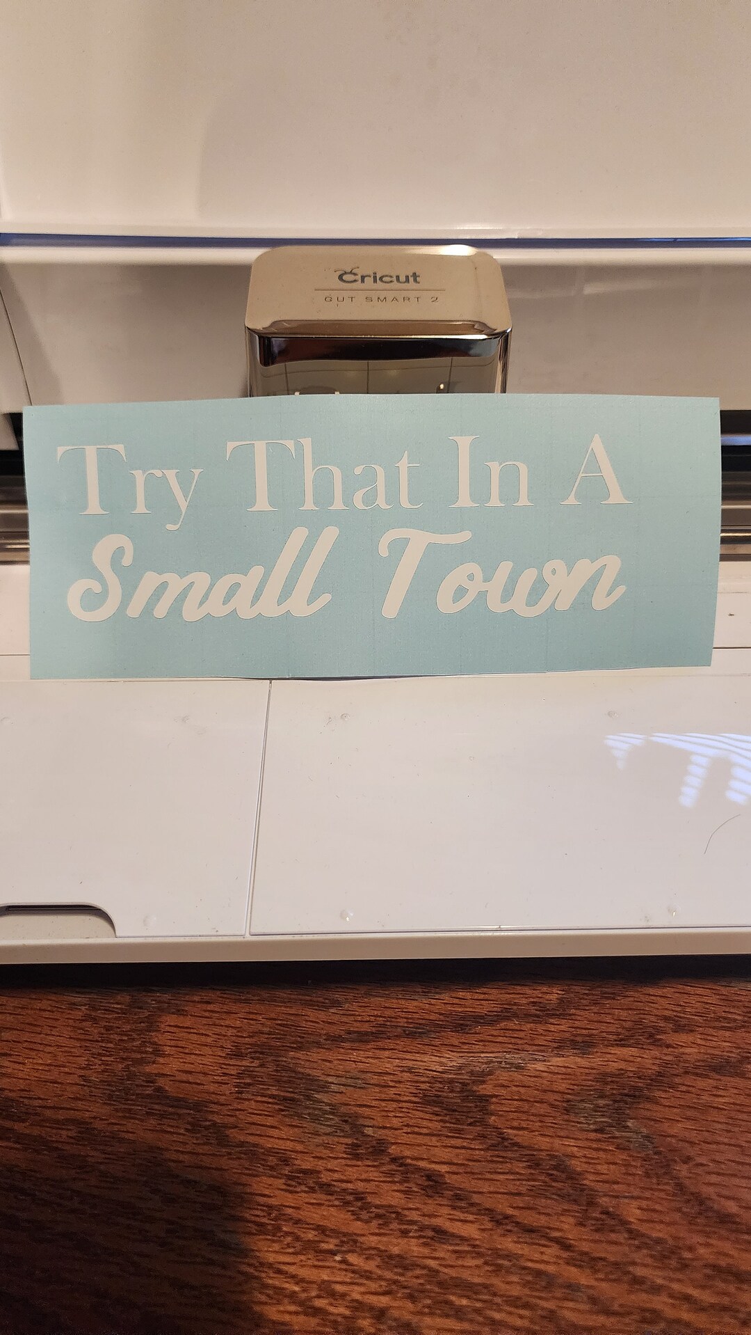 Try That in a Small Town Vinyl Decal - Etsy