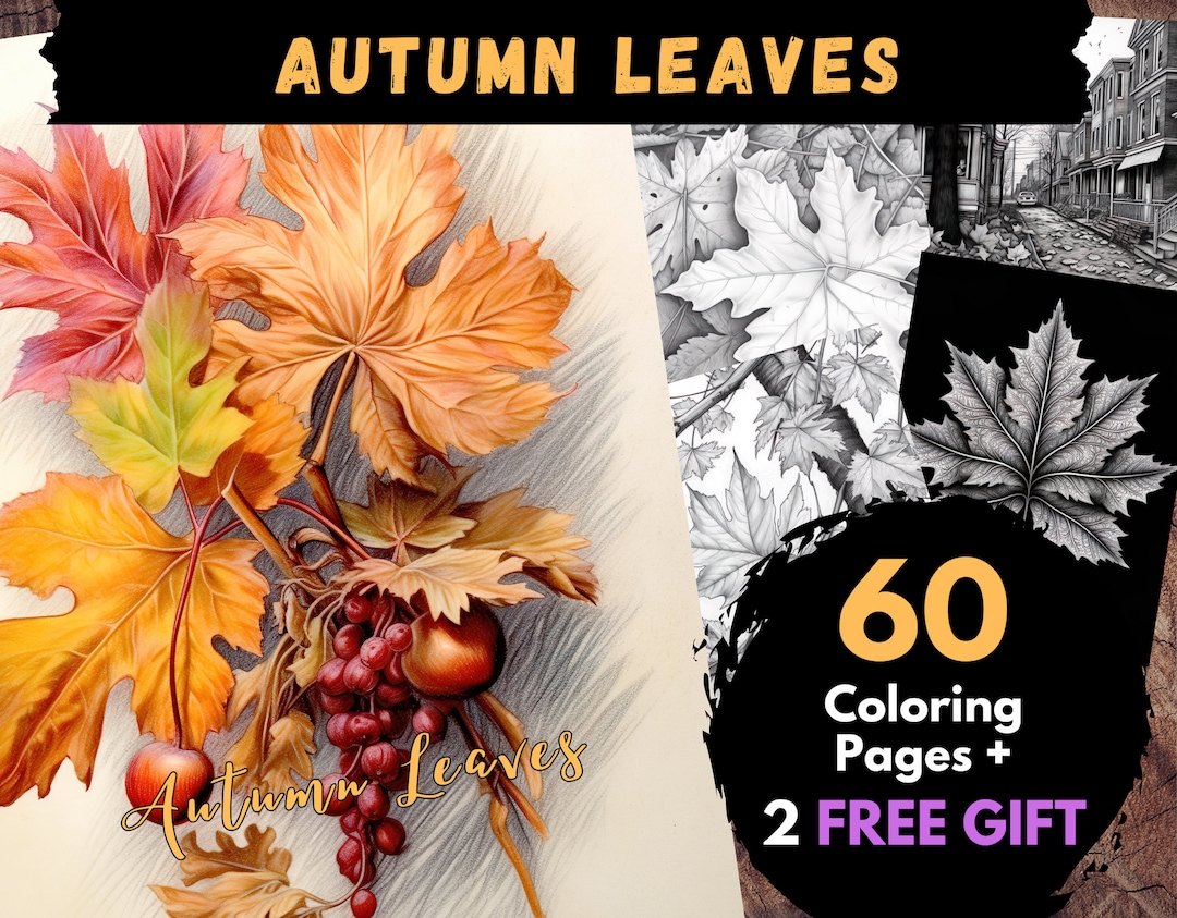 60 Autumn Leaves Coloring Pages, Adults Kids Digital Coloring Sheets ...