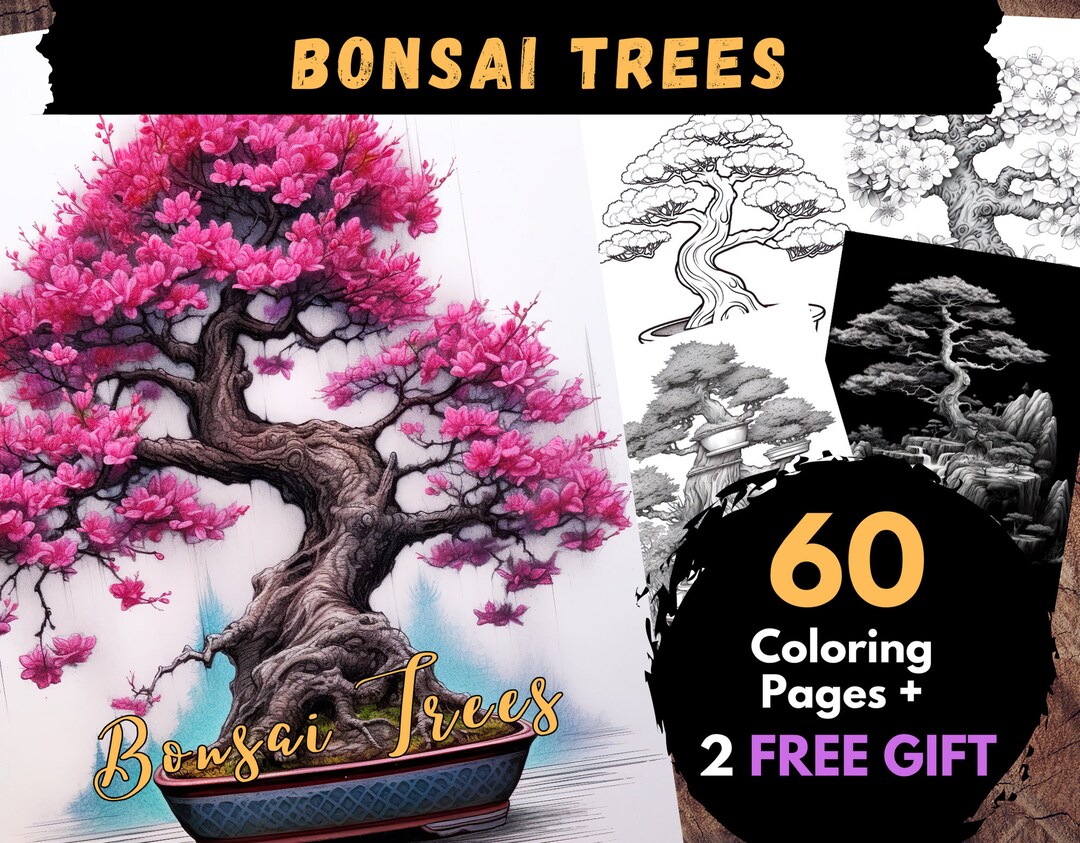 60 Bonsai Trees Coloring Pages, Adults Kids Digital Coloring Sheets ...