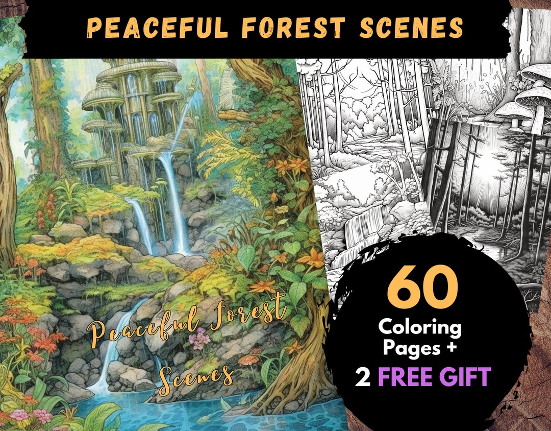 60 Peaceful Forest Scenes Coloring Pages, Adults Kids Digital Coloring ...