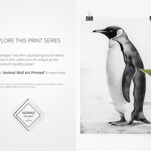 3-piece Emperor Penguin Art Prints, Black & White Penguins, Antarctic ...