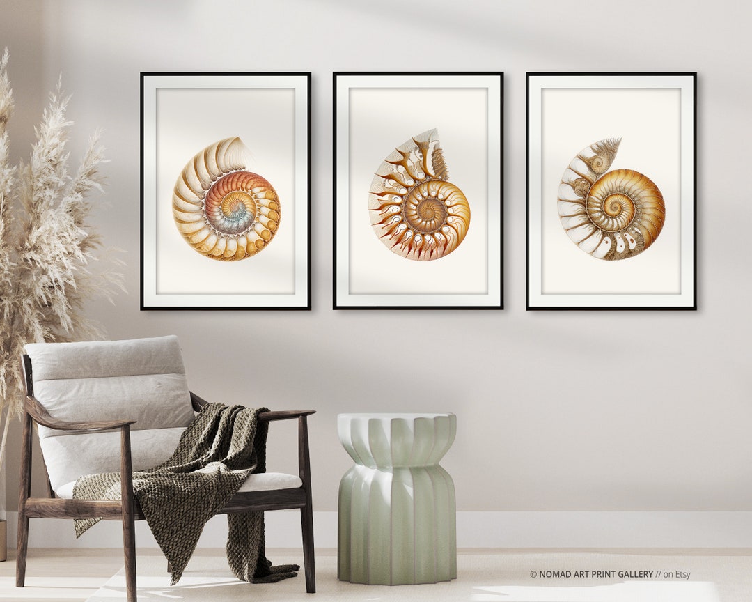 Ammonite Wall Art, Fossil Art, Fossil Print, Ocean Art, Minimalist ...