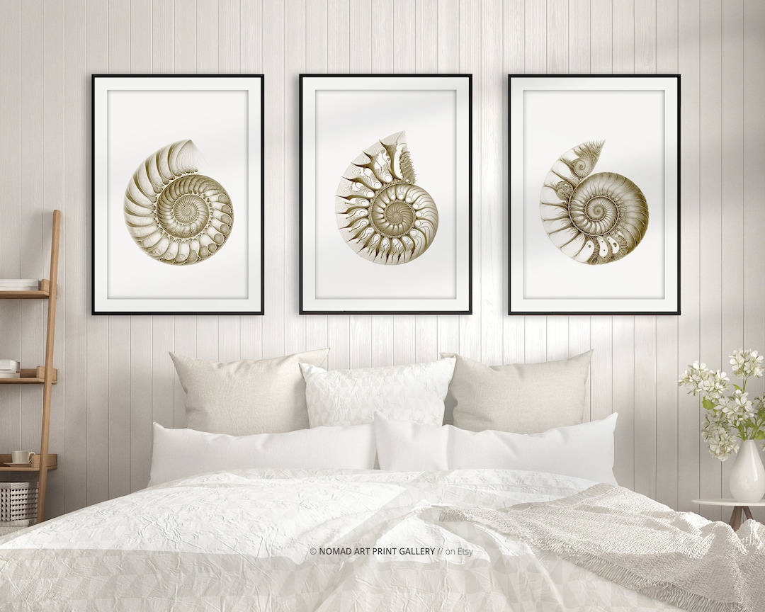 Ammonite Wall Art, Sepia Fossil Art Print, Ocean Art, Minimalist ...