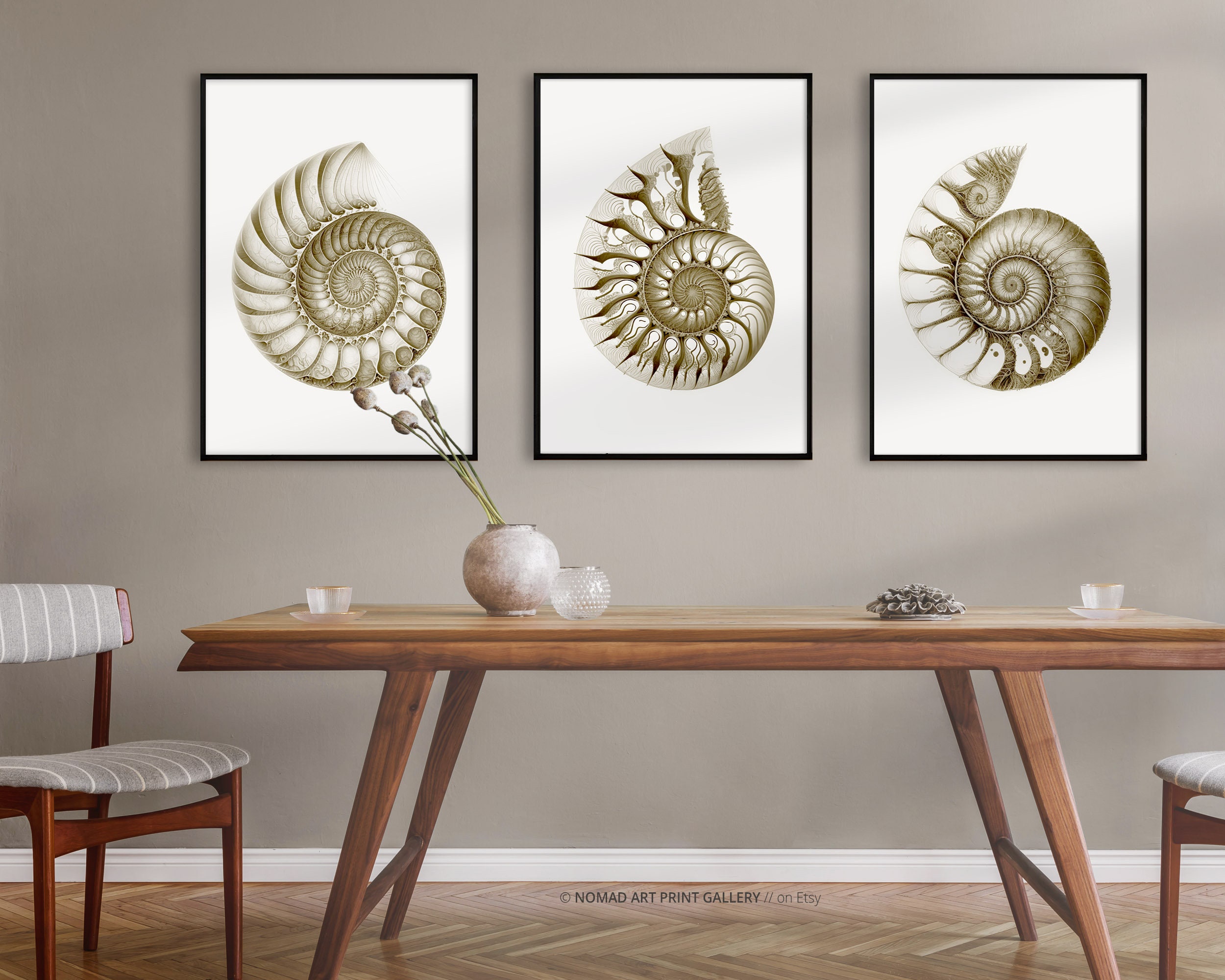 Ammonite Wall Art, Sepia Fossil Art Print, Ocean Art, Minimalist ...