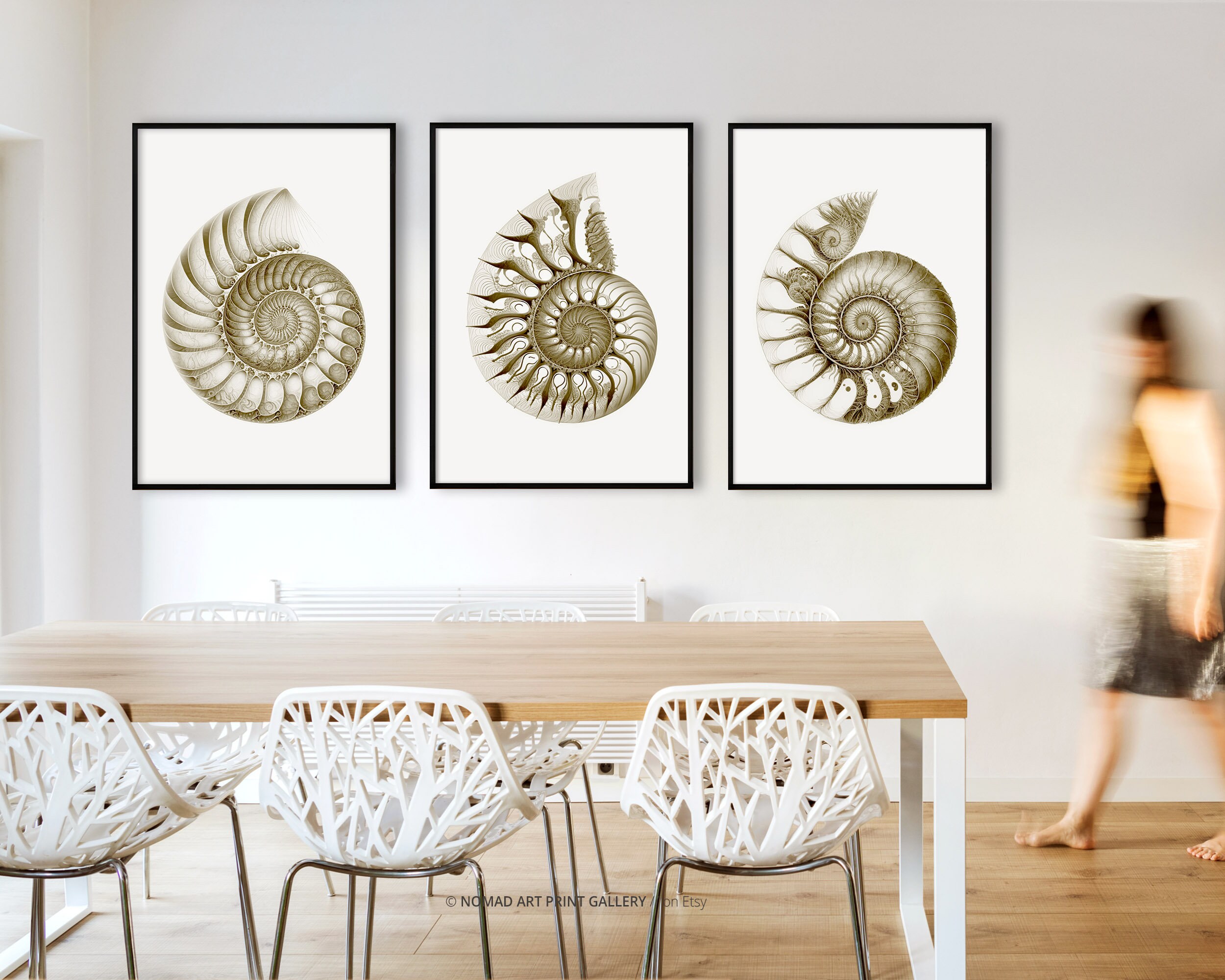 Ammonite Wall Art, Sepia Fossil Art Print, Ocean Art, Minimalist ...