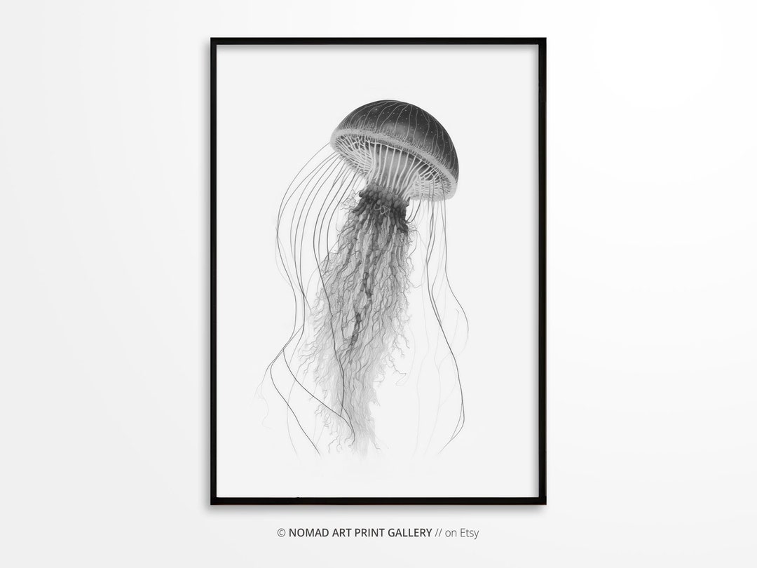 Jellyfish Wall Art, Black and White Ocean Wall Art, Nautical Print ...