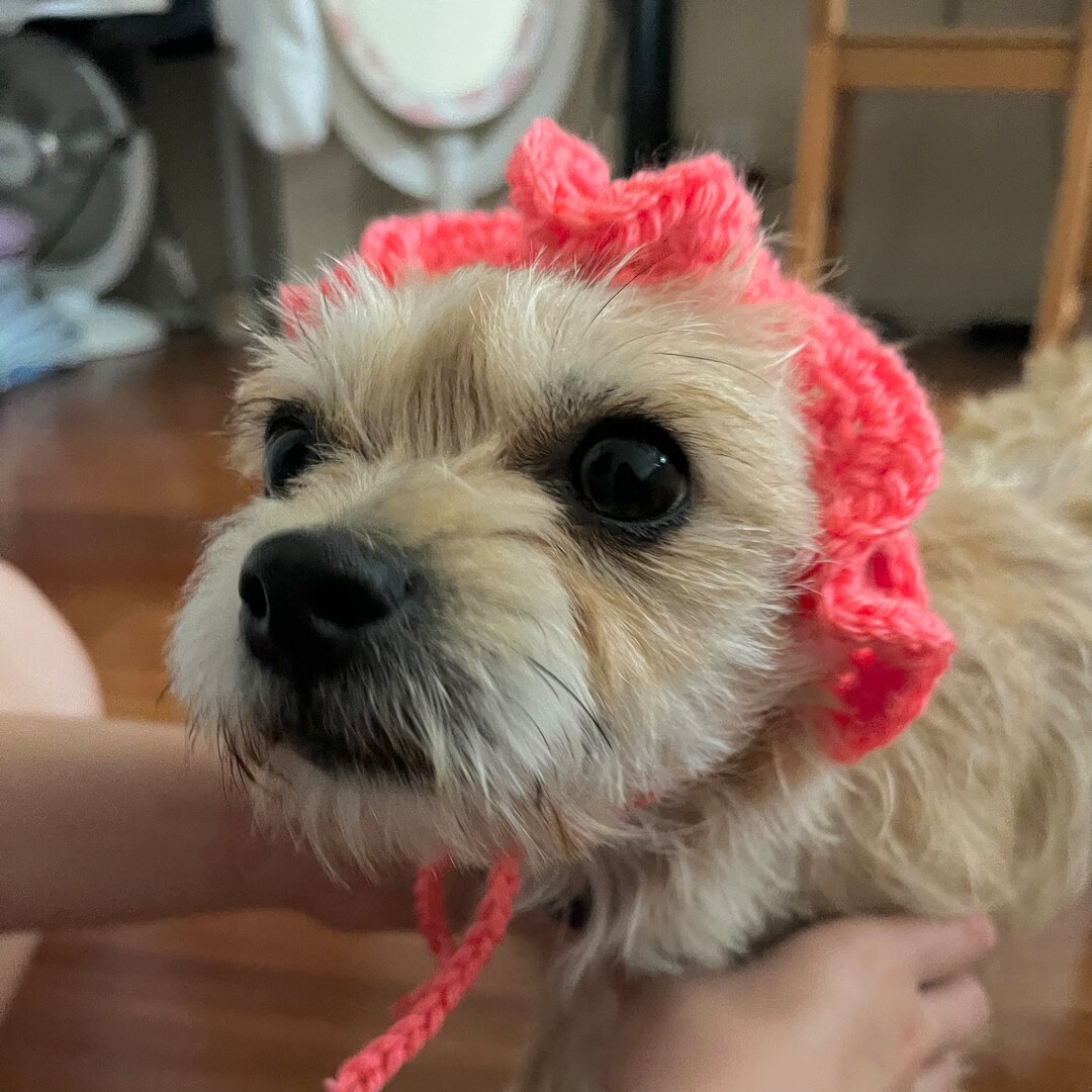 Crochet Small Pink Dog Hat Cute Sun Bucket Hat With Ruffles Small Pet ...
